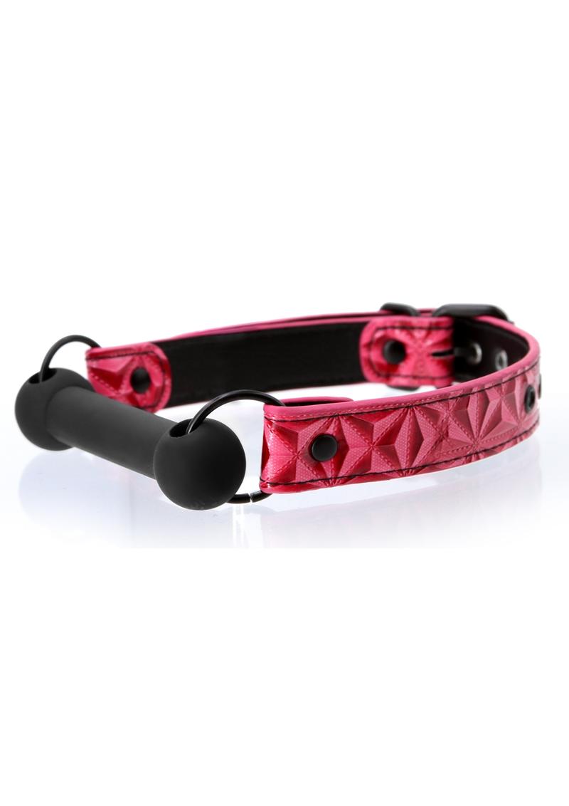 Sinful Silicone Bar Gag – Fantasy Fun Factory